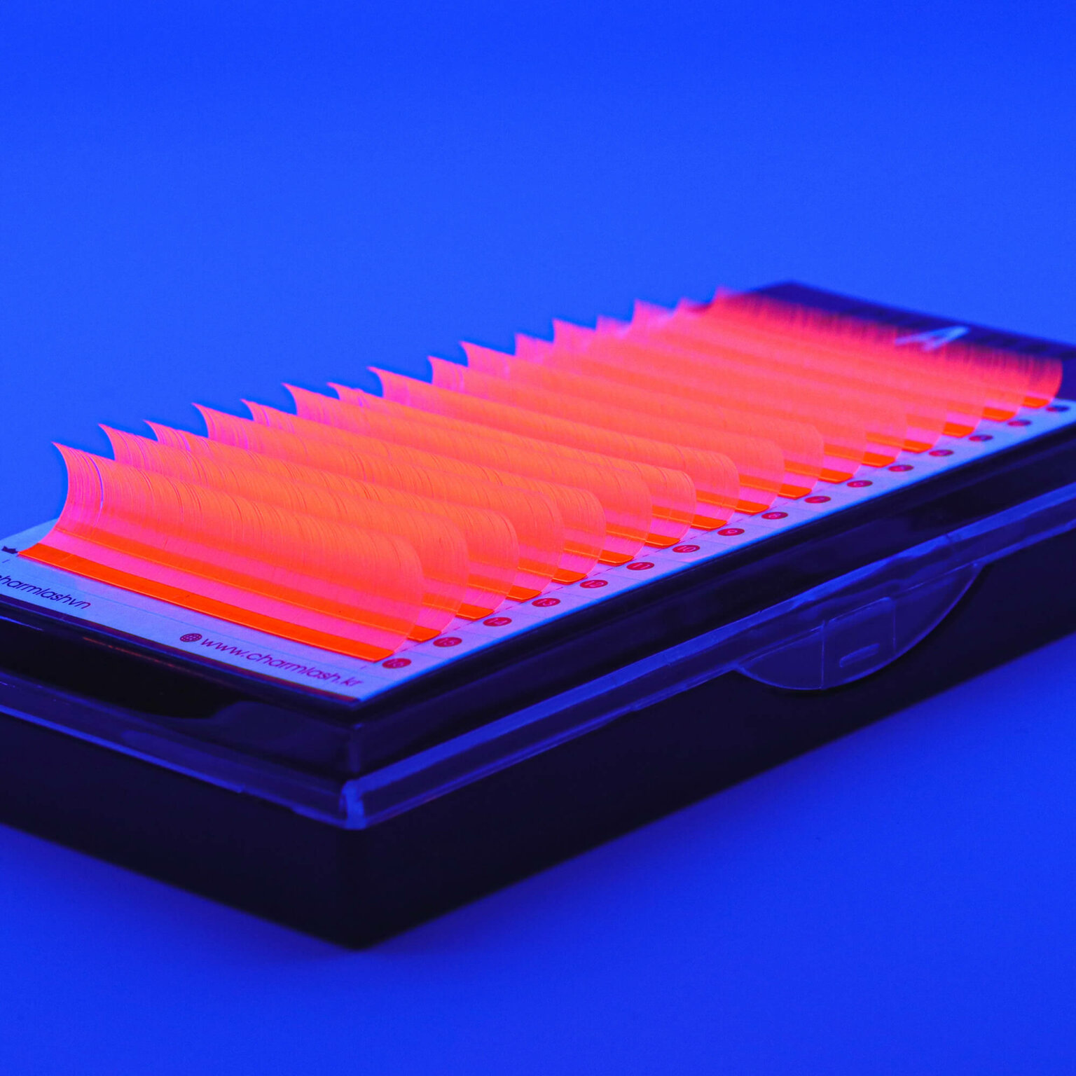 Colorful Eyelash Extensions - Mixed Tropical Colors Lashes - Wholesale ...