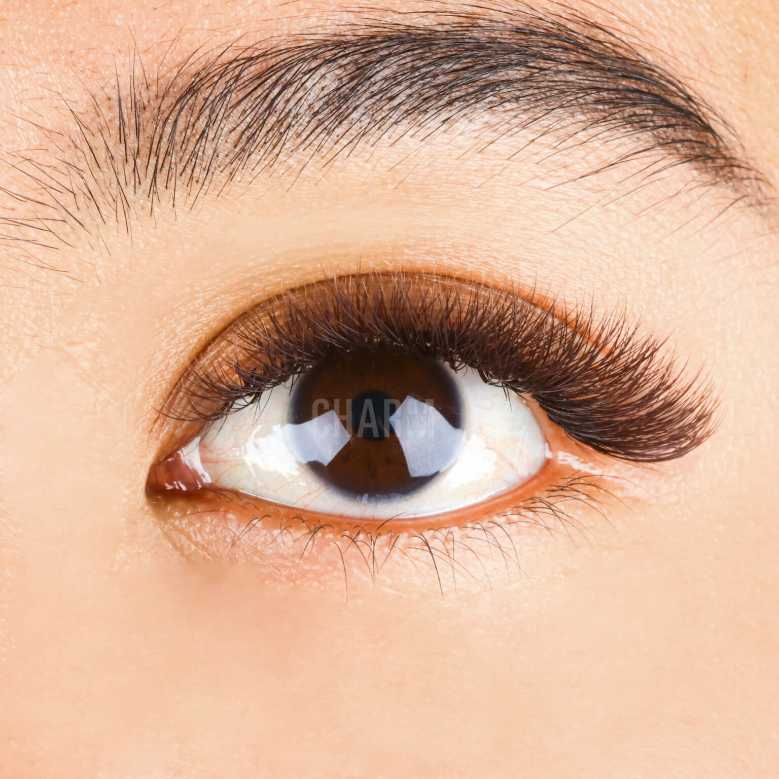 Cocoa Brown Lash Extensions - Wholesale Manufacturer