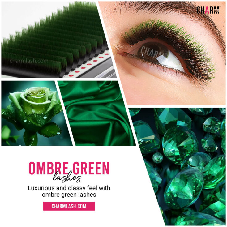 Ombre Lashes - Wholesale Manufacturer In Vietnam