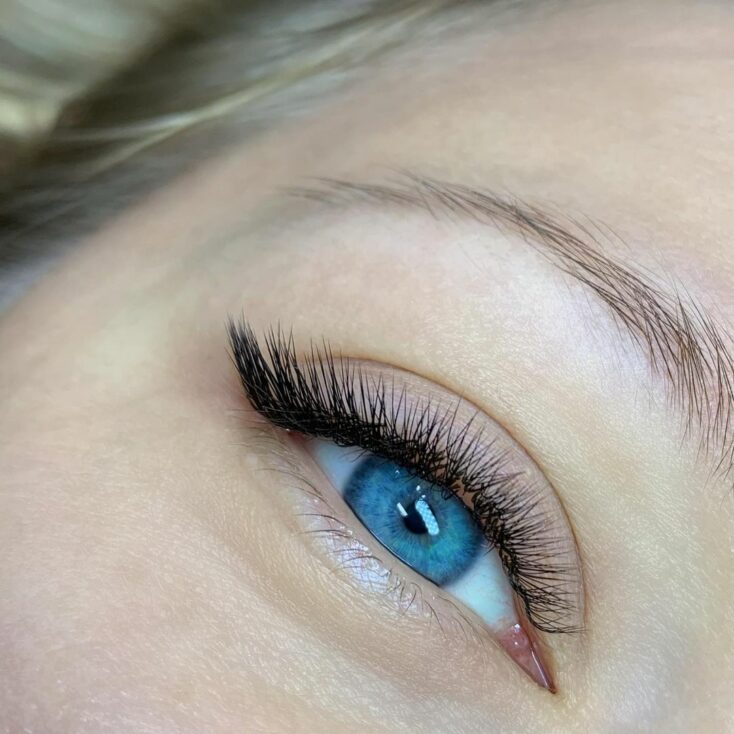 All About L Curl Eyelash Extensions You Should Know - CharmLash