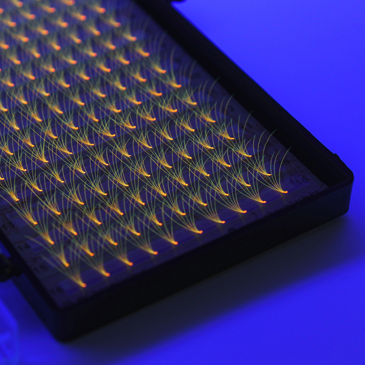 UV Neon Lashes Archives - Professional Wholesales Eyelash Extension ...