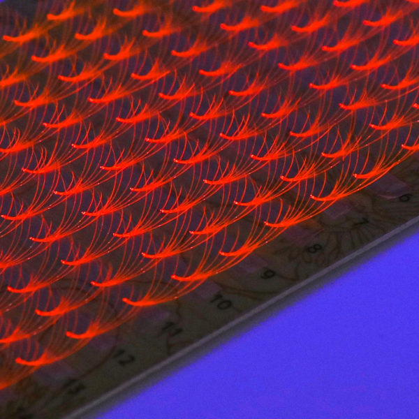 UV Neon Lashes Archives - Professional Wholesales Eyelash Extension ...