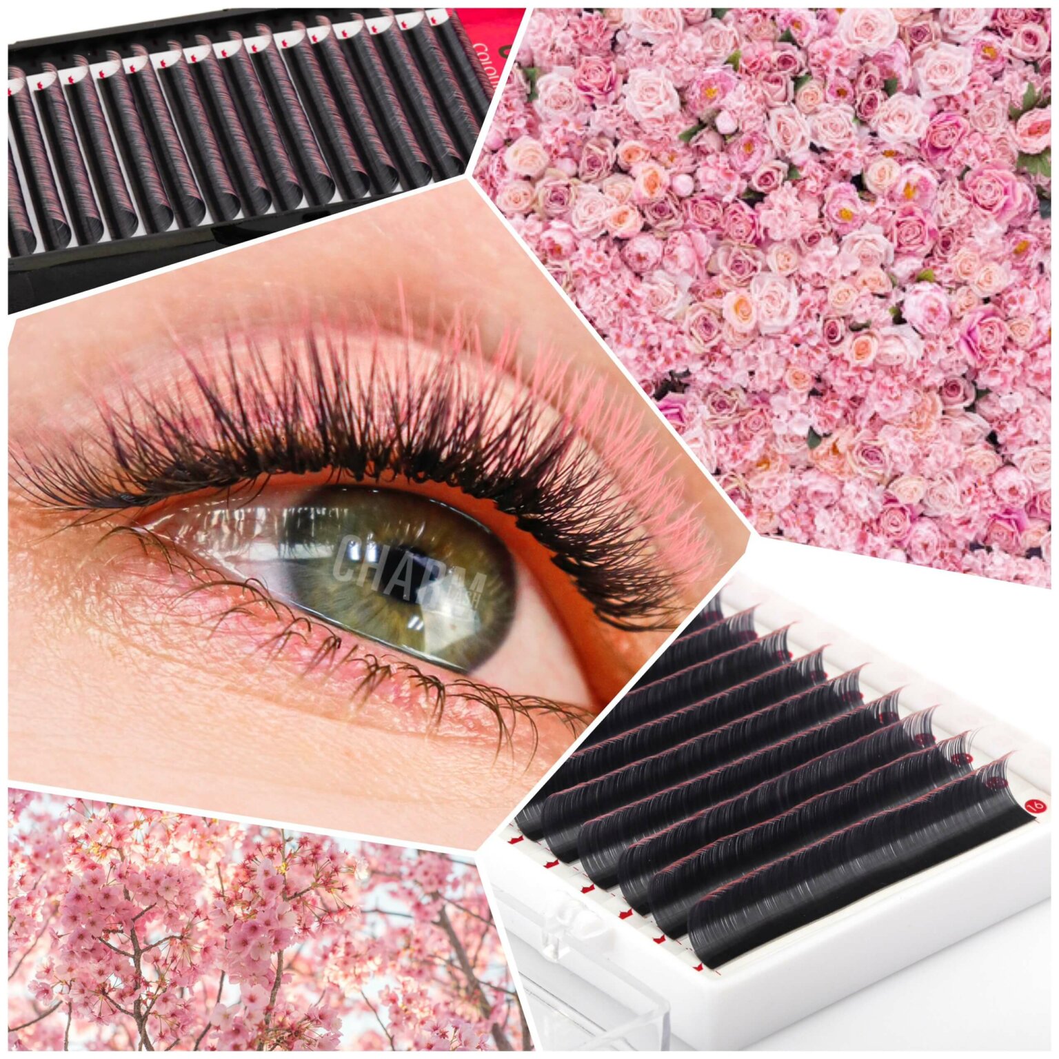 Ombre Lashes - Wholesale Manufacturer In Vietnam