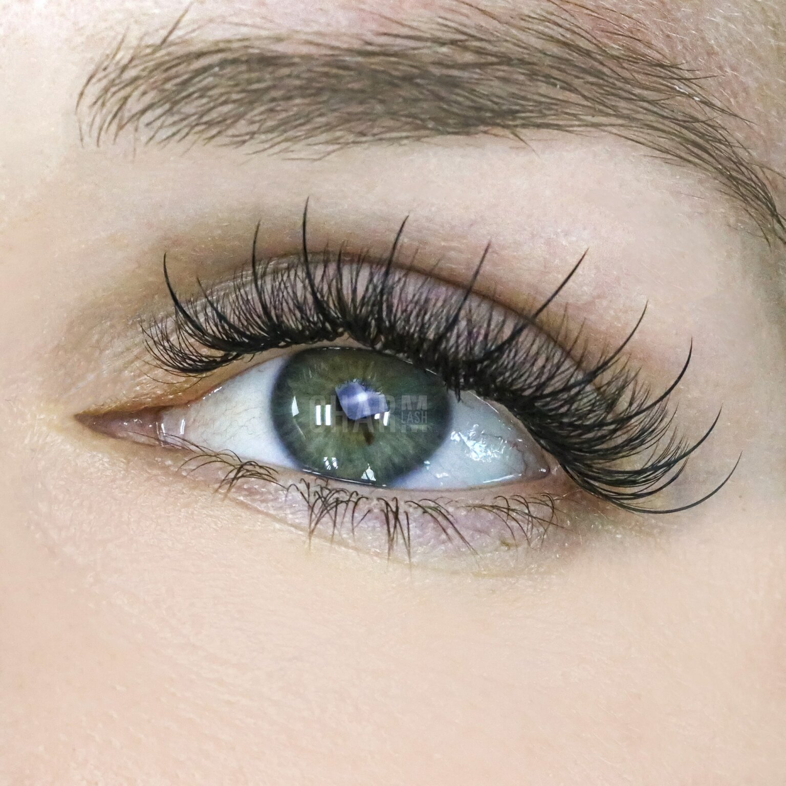 5 Lash Maps That Will Easily Level Up Your Lash Game
