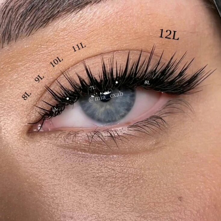 Master the art of Wet lash extensions- CharmLash