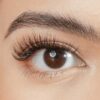 Top 13 Lash Extension Styles - All You Need To Know