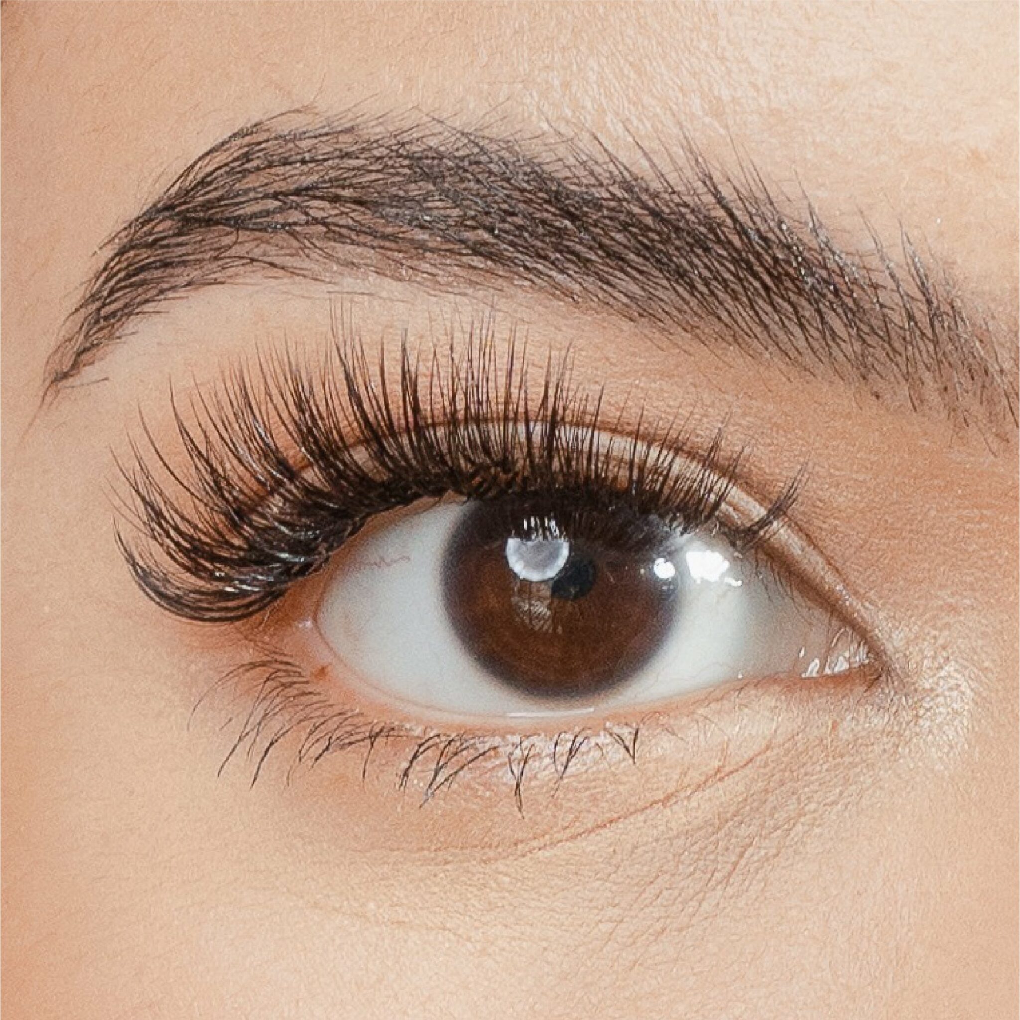 Top 13 Lash Extension Styles - All You Need To Know