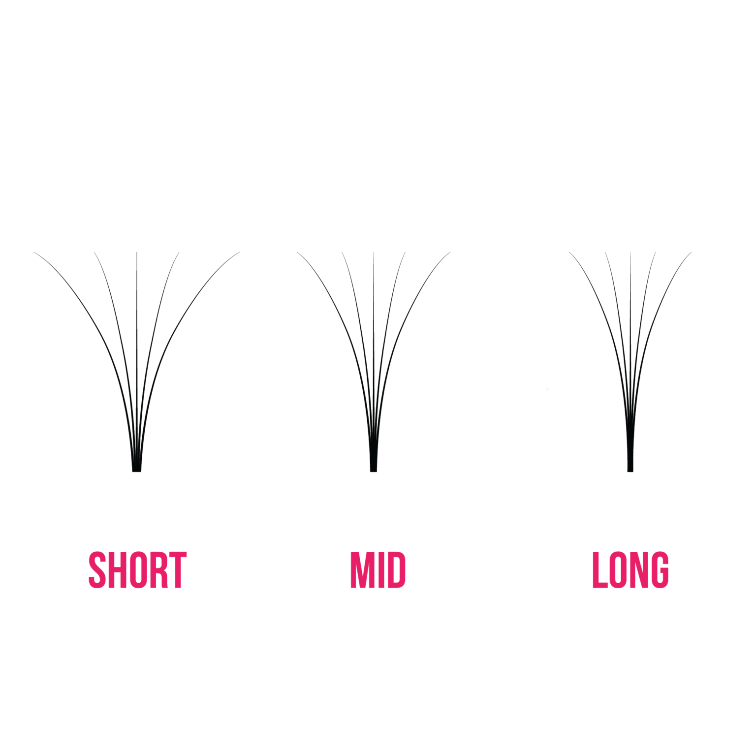 Everything About Premade Fan Lashes - Eyelash Manufacturer