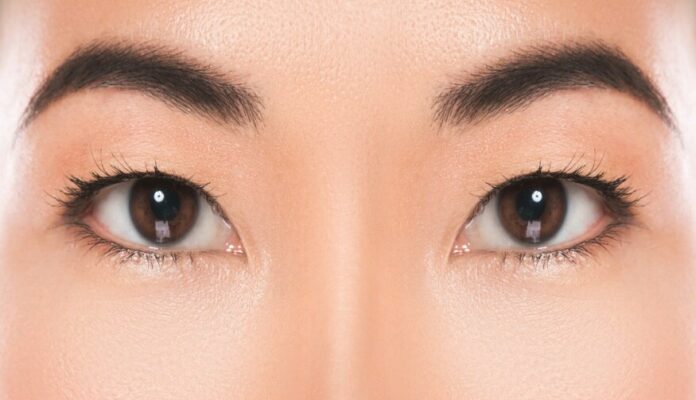 Eyelash Extension Shapes: Best Lashes For Different Eye Types