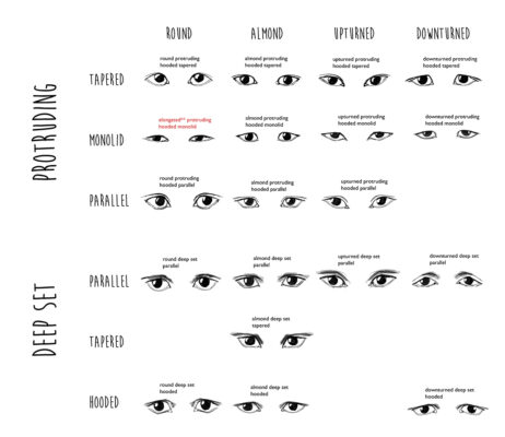 Open Eye Lash Map - Unlock The Secrets Behind