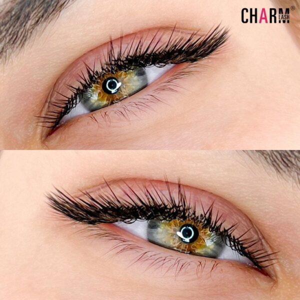 Best Inspiration For L Curl Lash Map