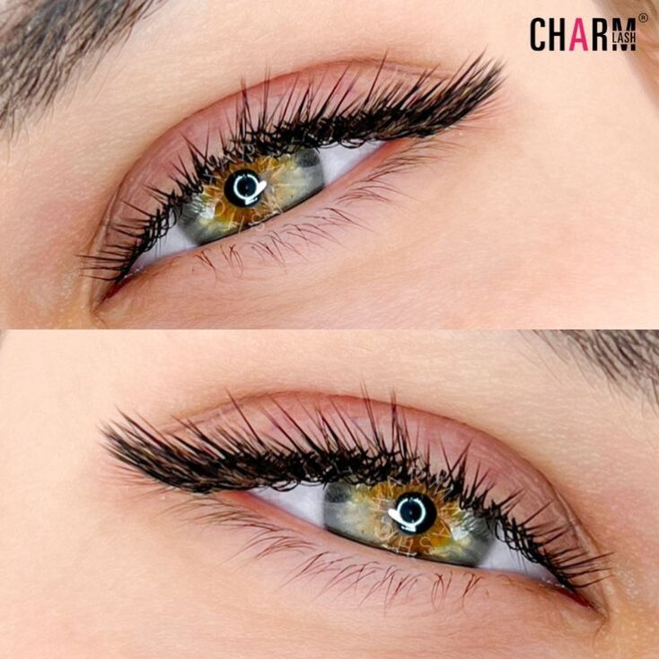 Best Inspiration For L Curl Lash Map