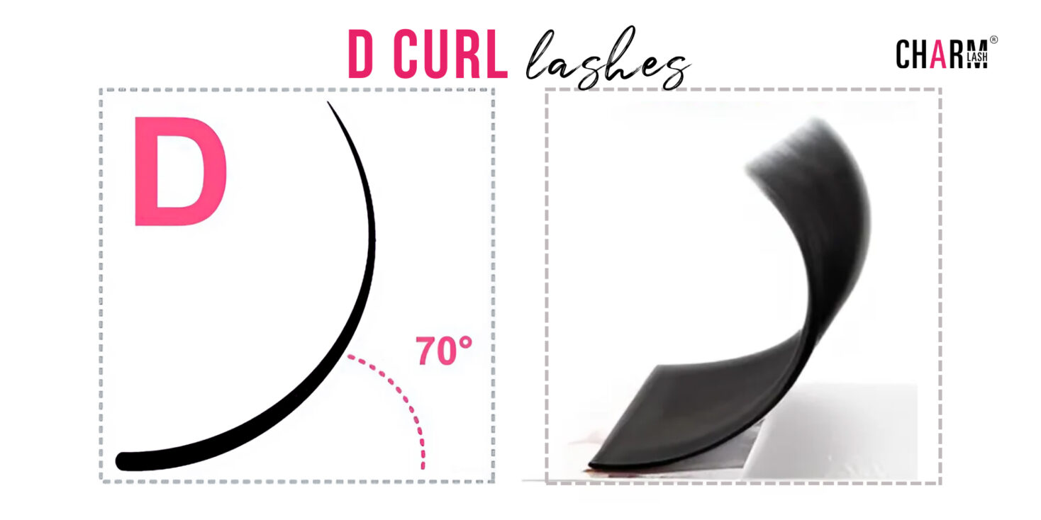 C And D Curl Lash Mapping: An Ultimate Guide For Lash Artists