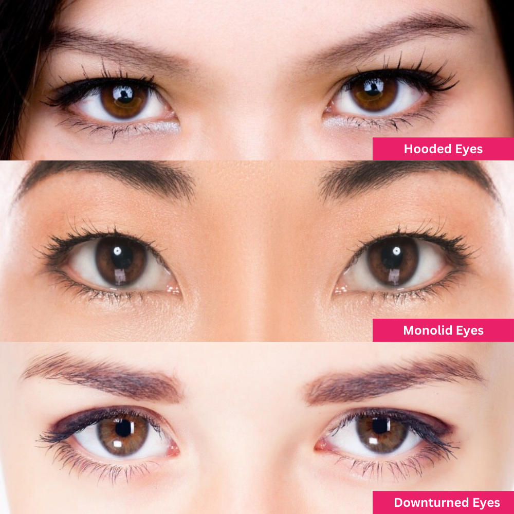 Best Inspiration For L Curl Lash Map