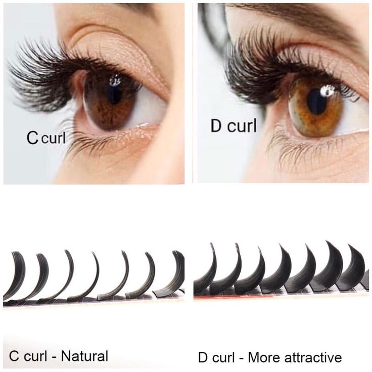 C And D Curl Lash Mapping: An Ultimate Guide For Lash Artists
