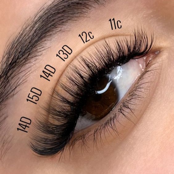 D Curl Lash Mapping: Quick Pro Tips