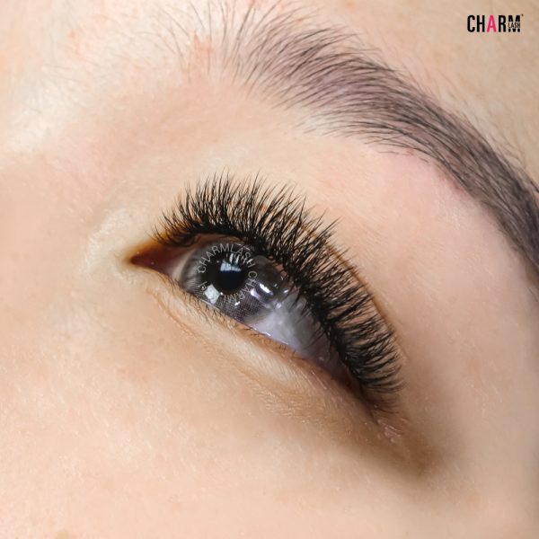 What Makes CC Curl Lash Extensions The Top Choice For Lash Lovers?