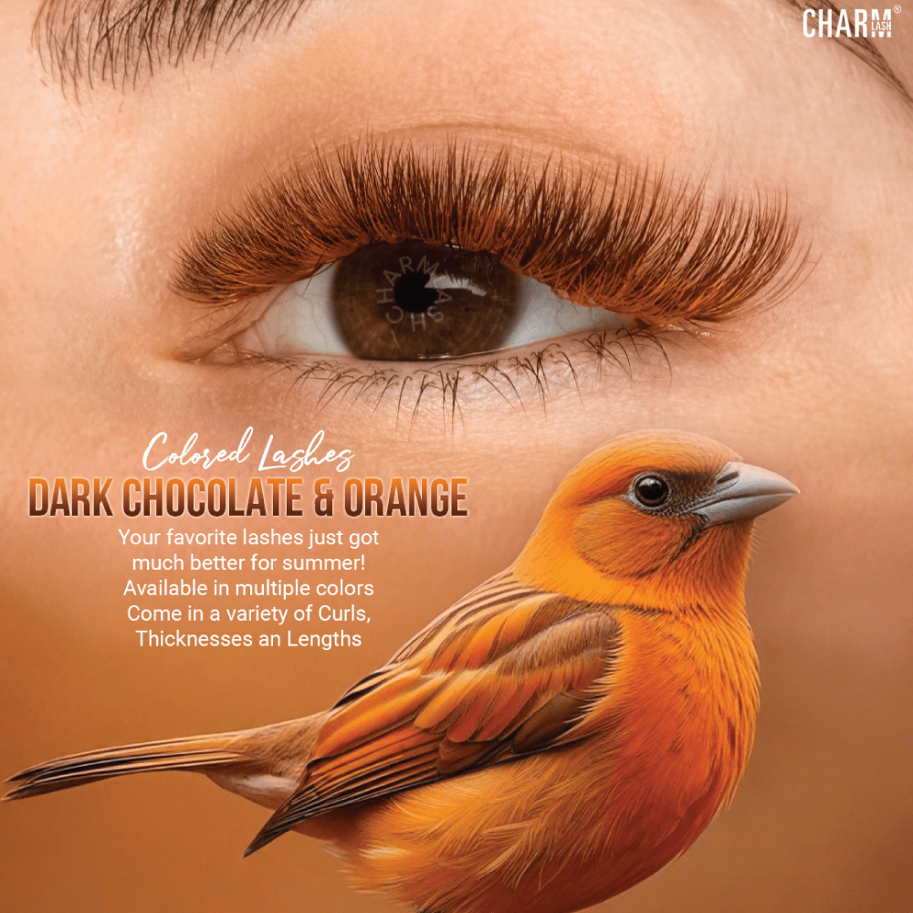 Why Natural Brown Lash Extensions Are Trending & How To Get Them!