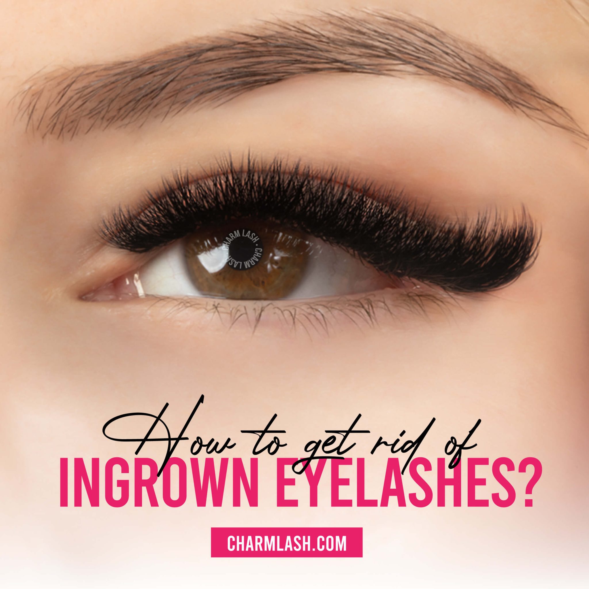 Wet Set Lashes Vs. Classic Lashes: What’s The Difference?