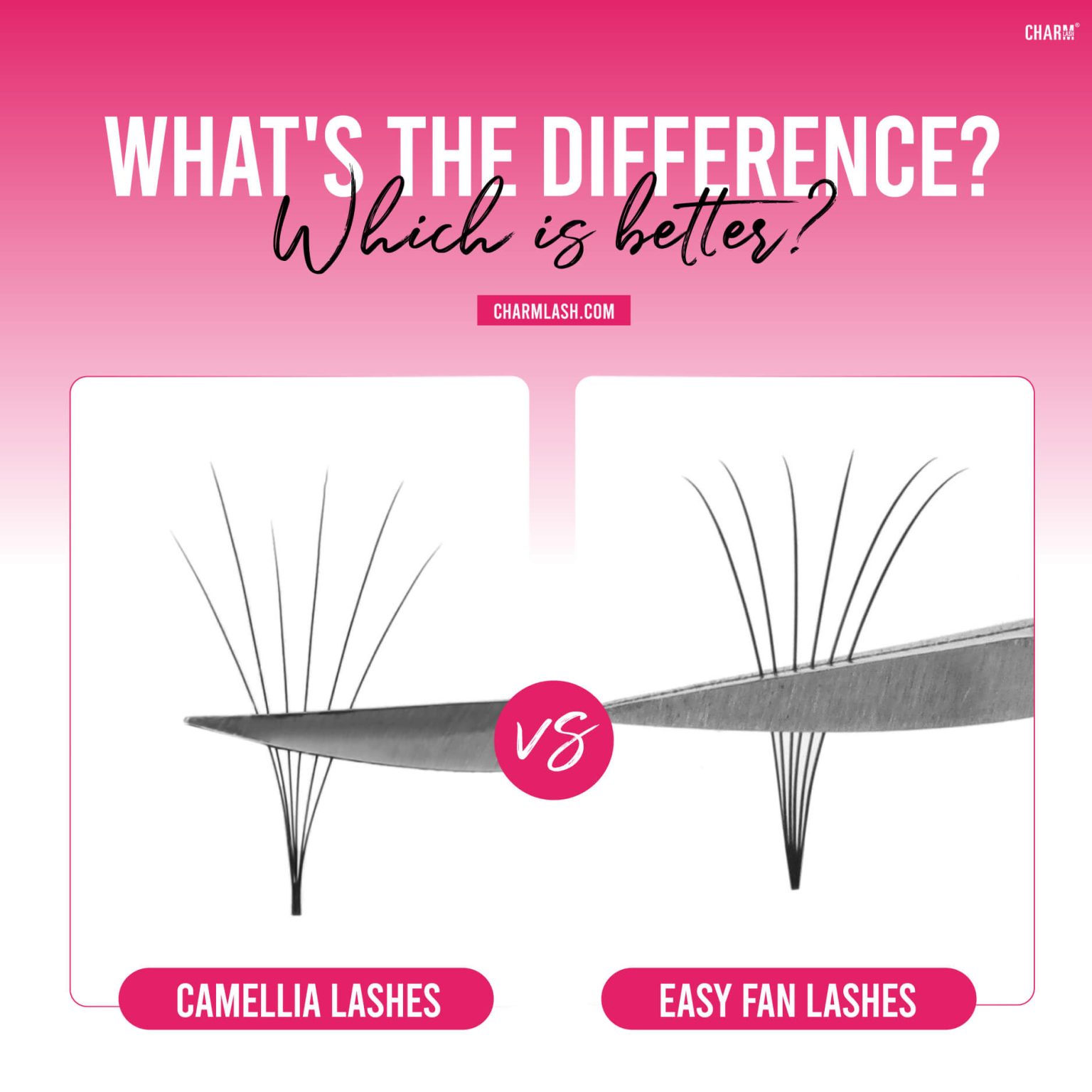 Wet Set Lashes Vs. Classic Lashes: What’s The Difference?